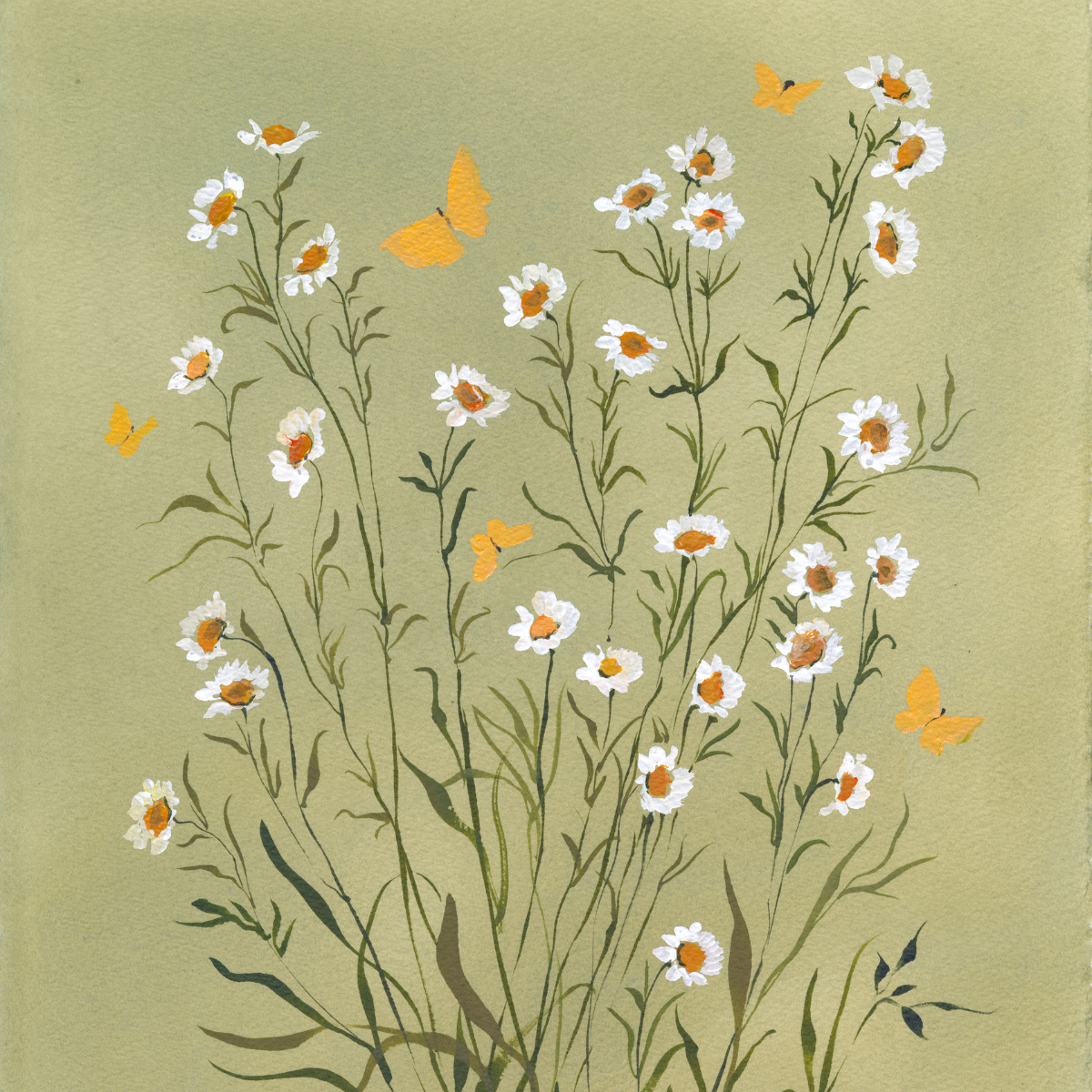 Botanical Print: Chamomile on Olive