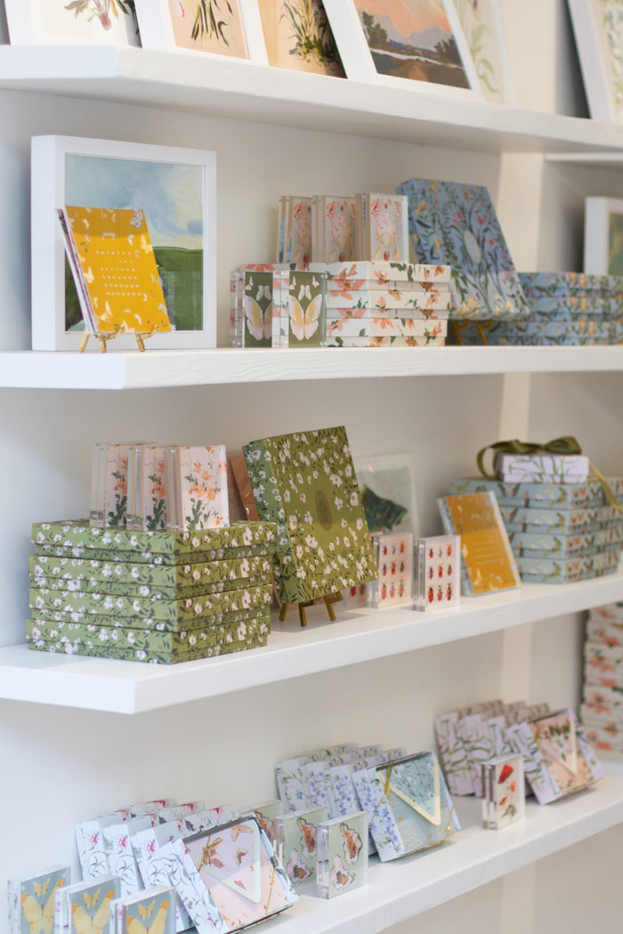 The Studio & Shop